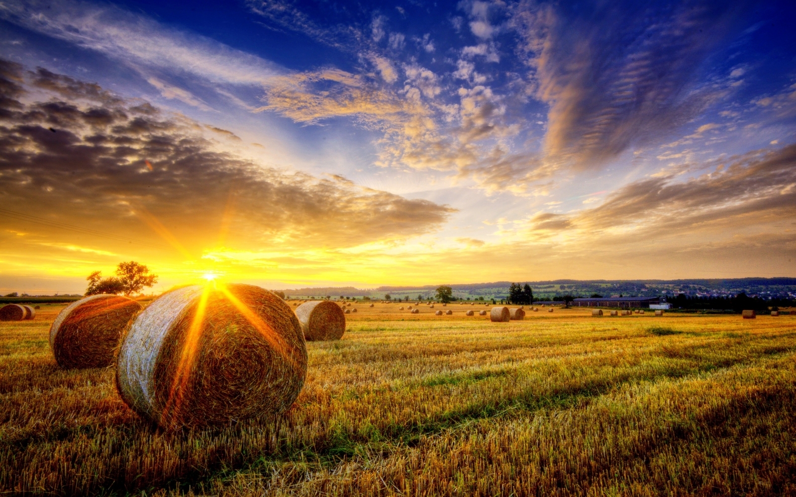 Financial Statements Audit